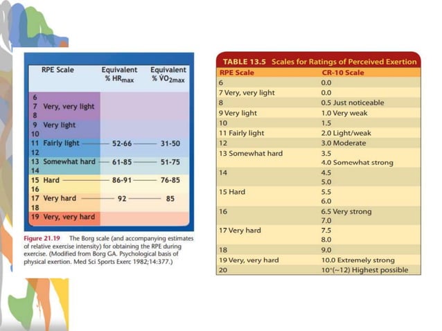 PathFit1_Handout-edited-2-1.pptx | Physical Therapy | Wellness
