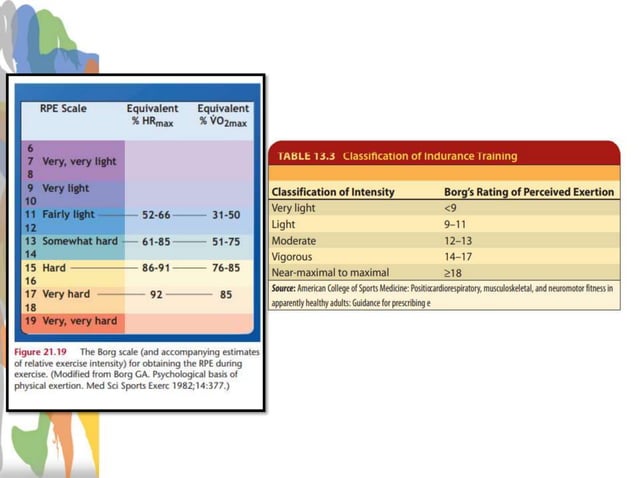 PathFit1_Handout-edited-2-1.pptx | Physical Therapy | Wellness