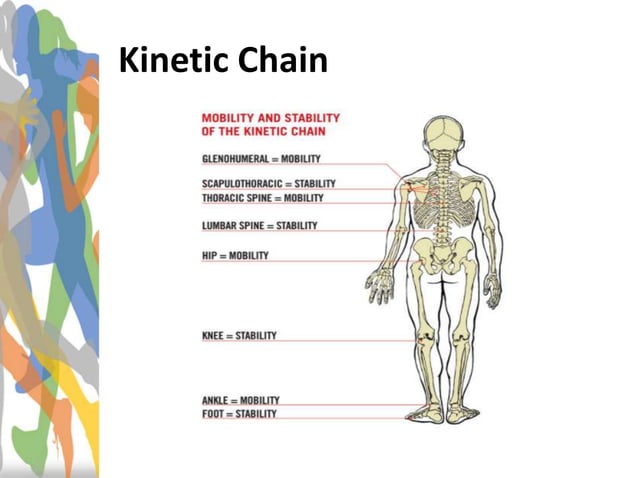 PathFit1_Handout-edited-2-1.pptx | Physical Therapy | Wellness