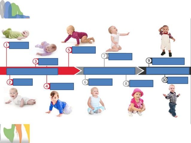 PathFit1_Handout-edited-2-1.pptx | Physical Therapy | Wellness