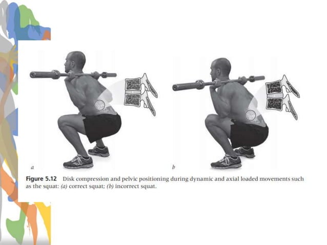 PathFit1_Handout-edited-2-1.pptx | Physical Therapy | Wellness