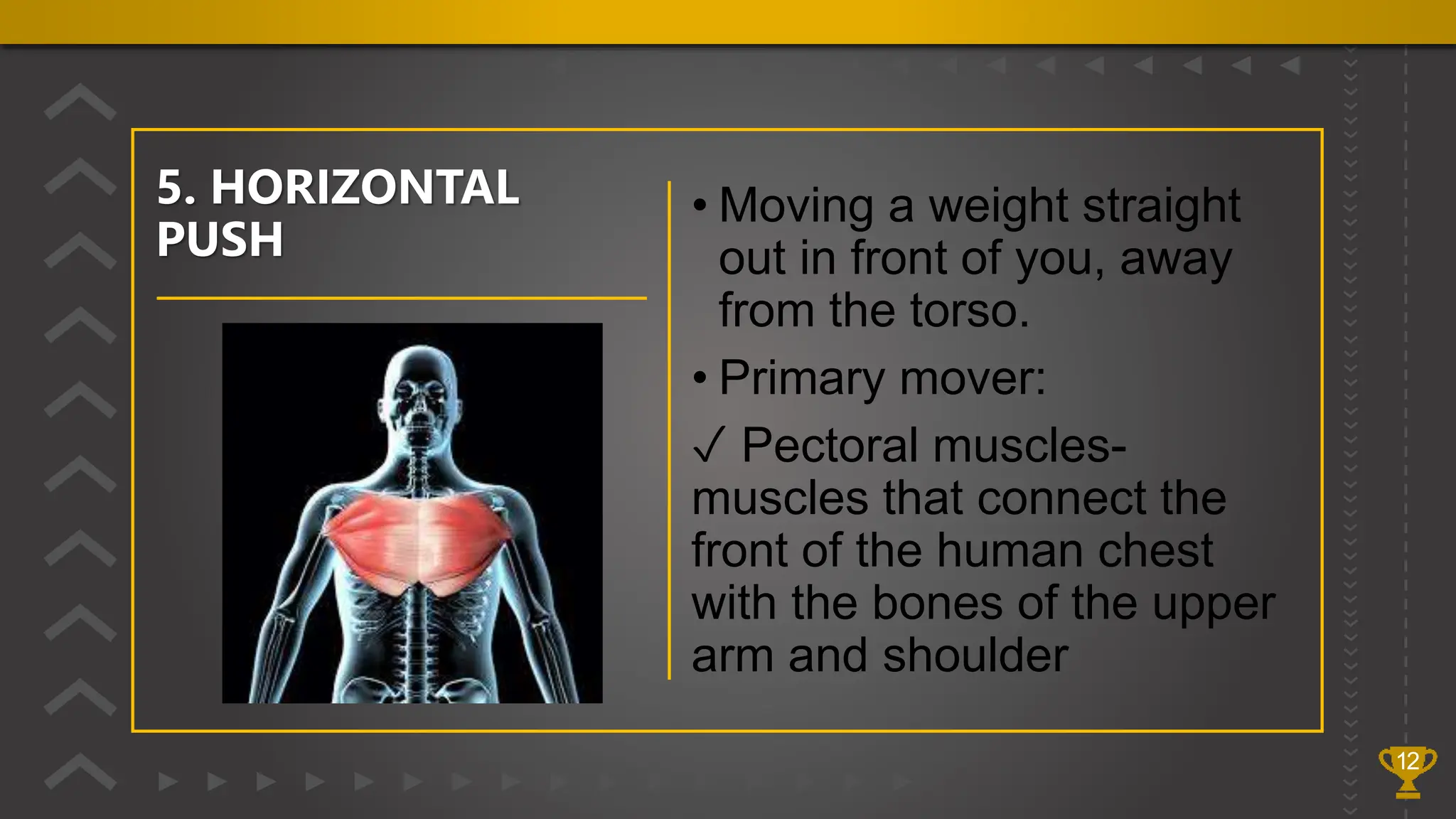 PATHFIT 2 exercises for the muscles .pptx