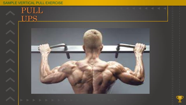 PATHFIT 2 exercises for the muscles .pptx | Physical Therapy | Wellness