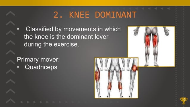PATHFIT 2 exercises for the muscles .pptx | Physical Therapy | Wellness