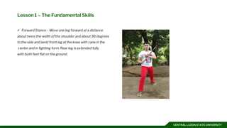 Physical Activities Towards Health and Fitness | PDF