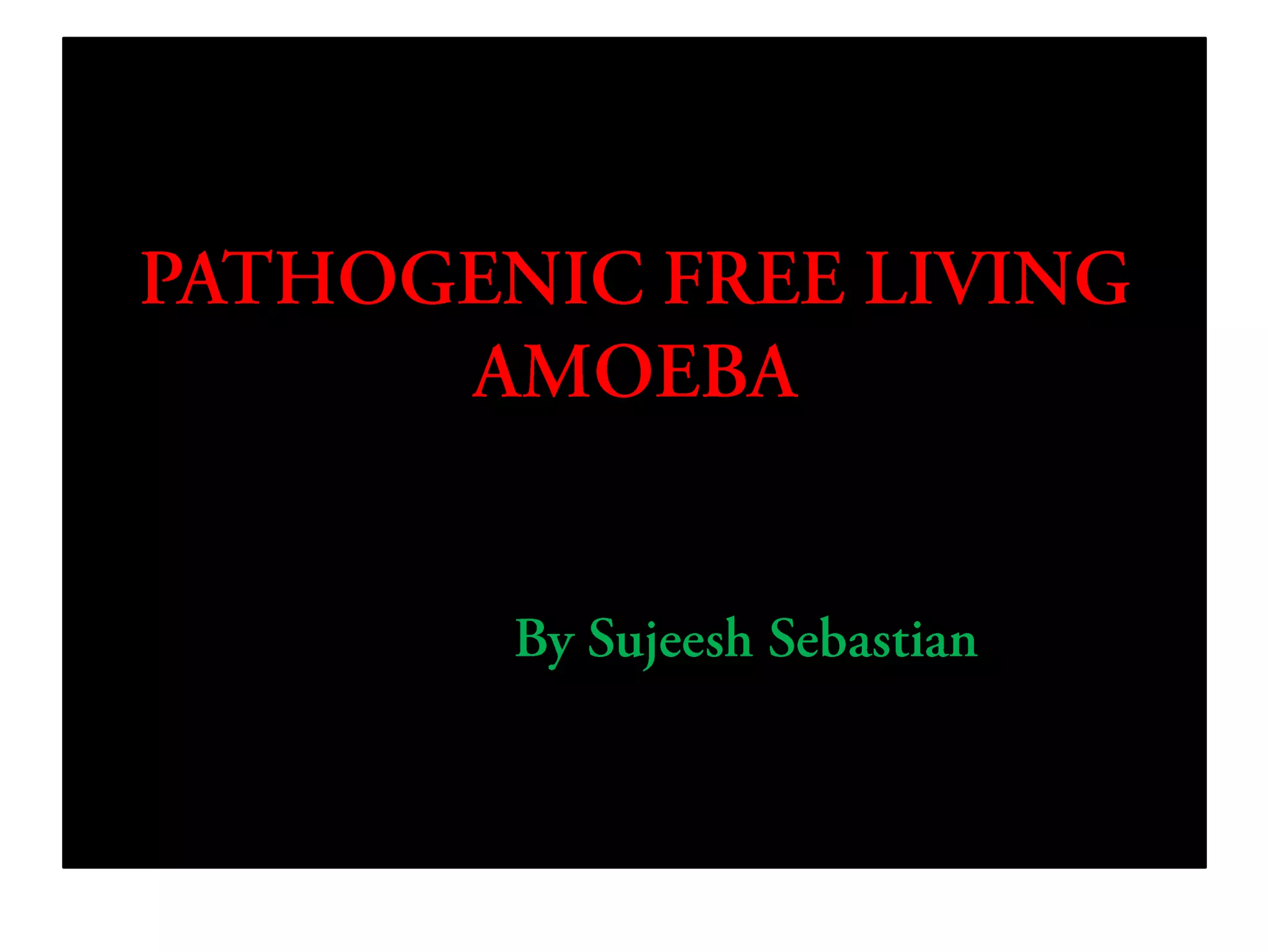 Pathgenic free living amoeba | PPTX