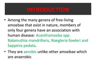 Pathgenic free living amoeba | PPTX