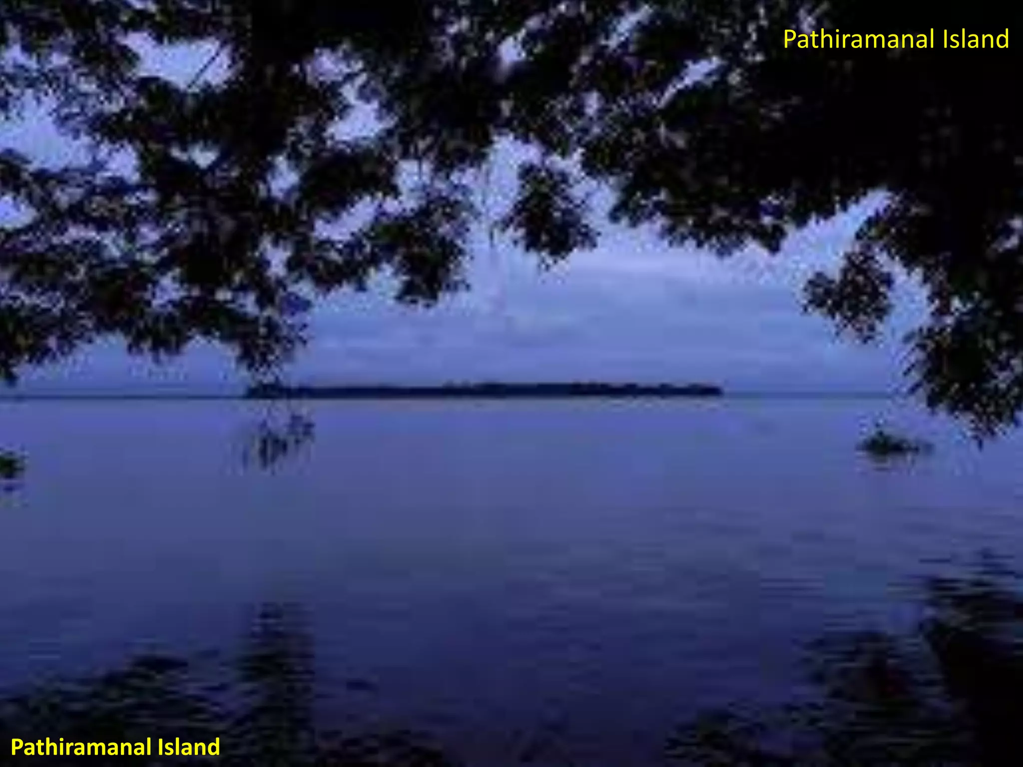 Pathiramanal island | PPTX