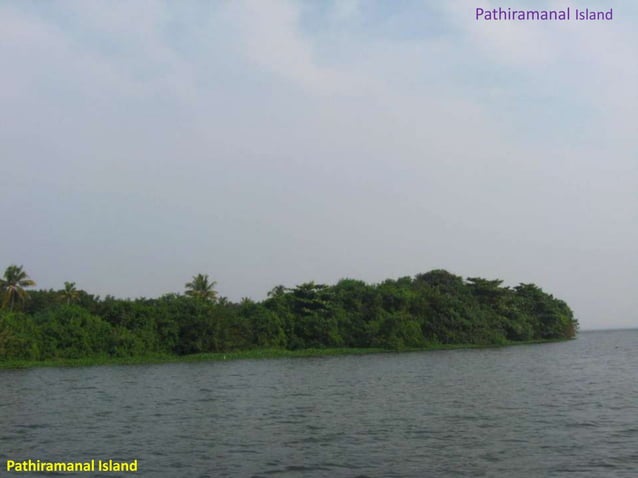 Pathiramanal island | PPTX