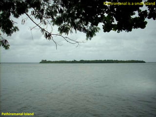 Pathiramanal island | PPTX