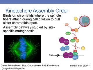 Predicting Assembly Order of Multimeric Protein Complexes | PPT