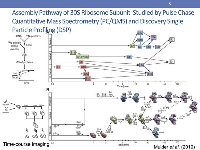 Predicting Assembly Order of Multimeric Protein Complexes | PPT