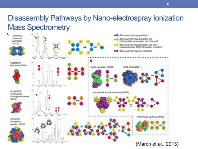 Predicting Assembly Order of Multimeric Protein Complexes | PPT