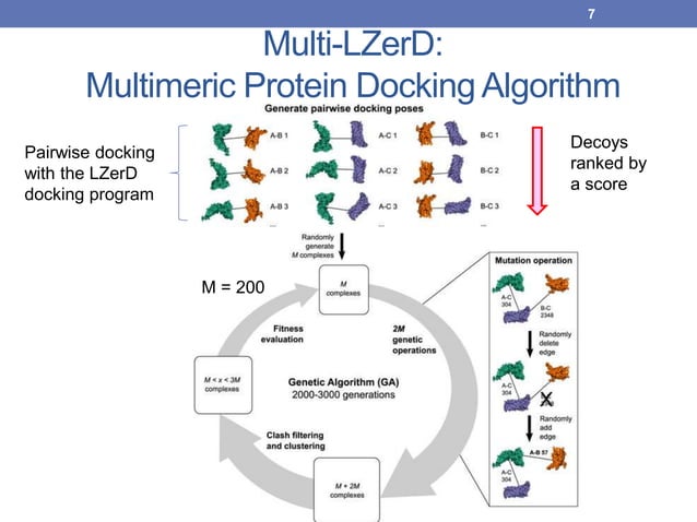 Predicting Assembly Order of Multimeric Protein Complexes | PPT
