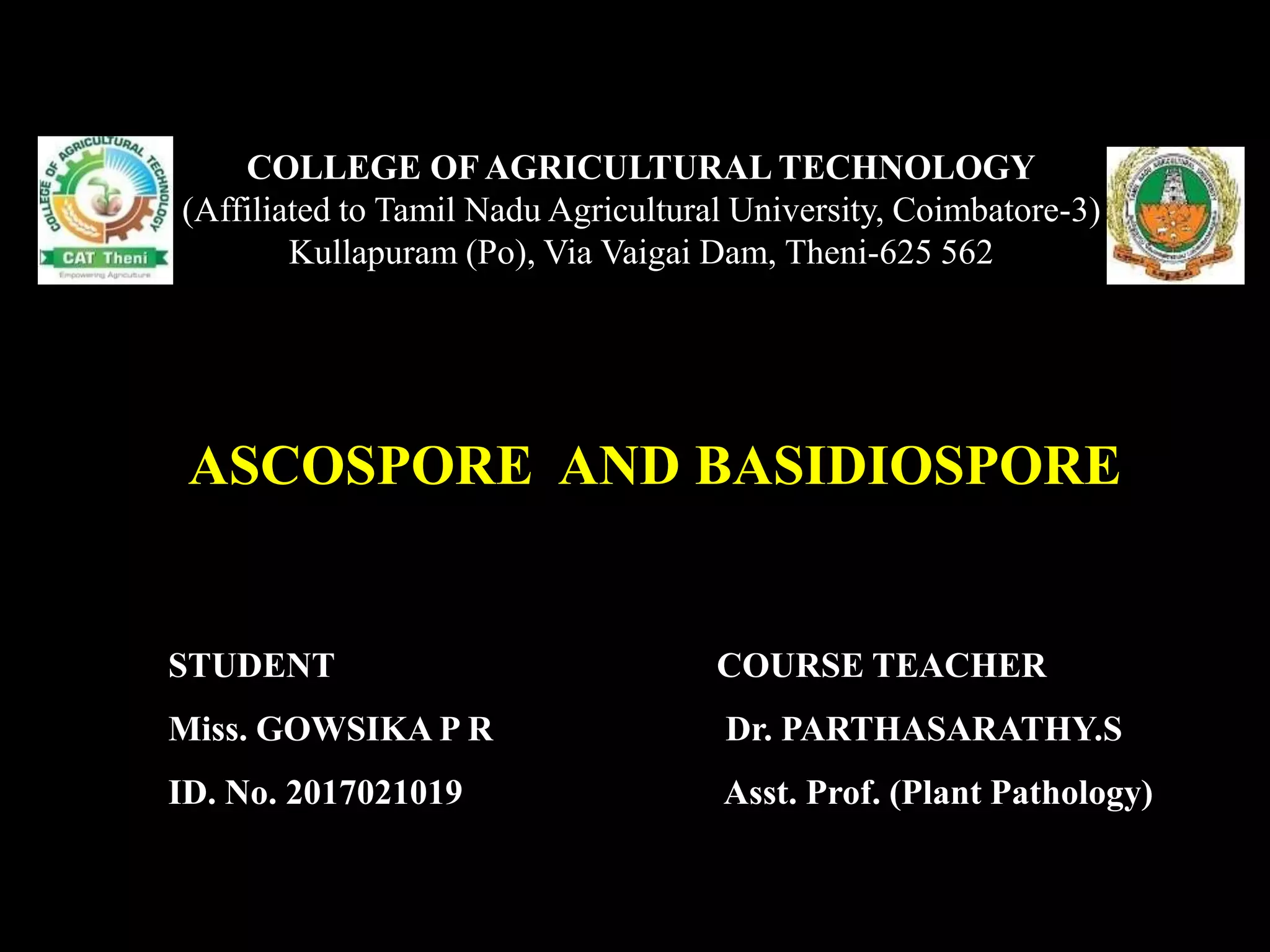 ASCOSPORE AND BASIDIOSPORE | PPTX