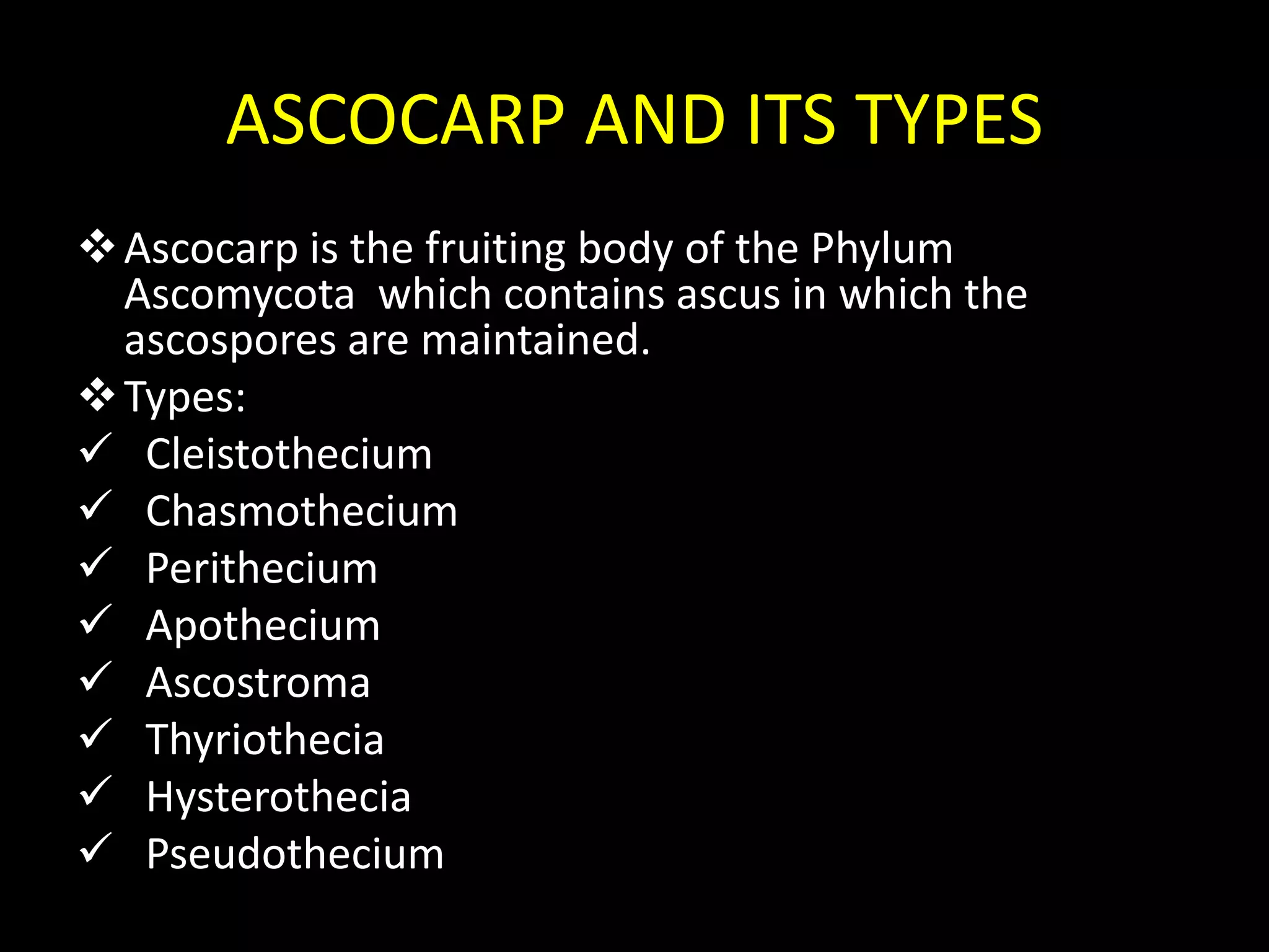 ASCOSPORE AND BASIDIOSPORE | PPTX