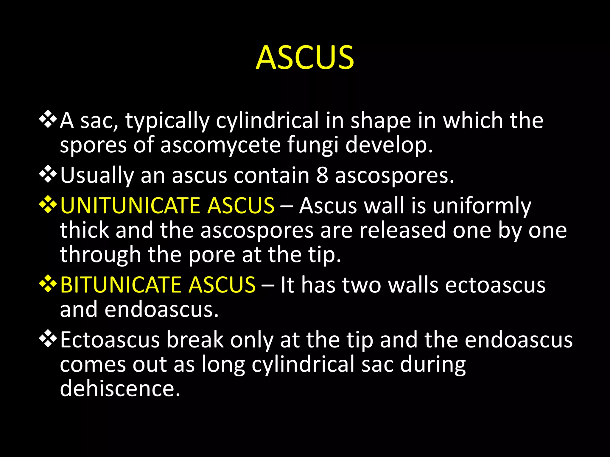 ASCOSPORE AND BASIDIOSPORE | PPTX
