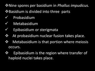 ASCOSPORE AND BASIDIOSPORE | PPTX