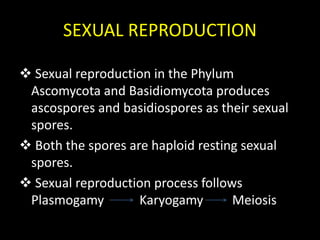 ASCOSPORE AND BASIDIOSPORE | PPTX