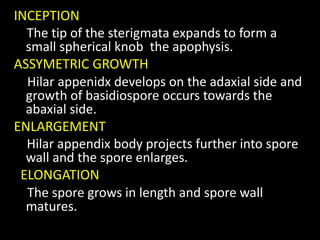 ASCOSPORE AND BASIDIOSPORE | PPTX