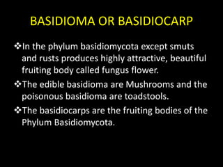ASCOSPORE AND BASIDIOSPORE | PPTX