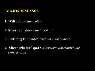 Diseases of crossandra | PPTX