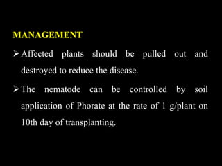 Diseases of crossandra | PPTX