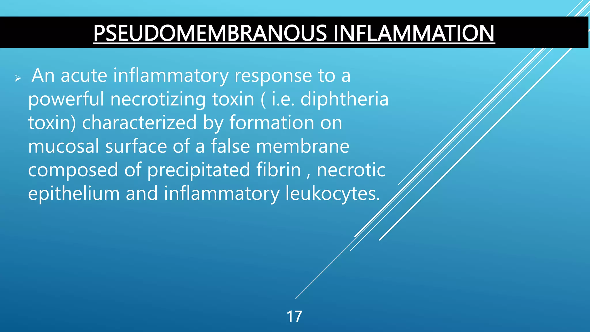 Morphological patterns and outcomes of acute inflammation | PPTX