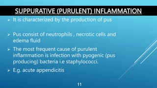 Morphological patterns and outcomes of acute inflammation | PPTX