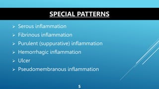Morphological patterns and outcomes of acute inflammation | PPTX