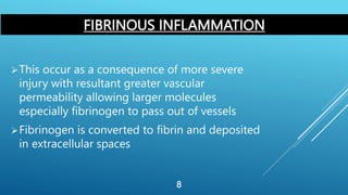 Morphological patterns and outcomes of acute inflammation | PPTX