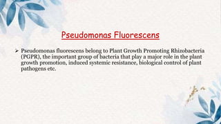 Different types of biofertilizers....pptx
