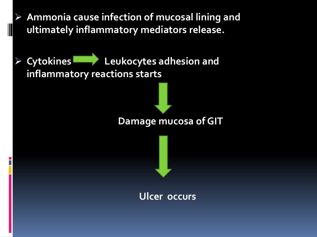 Pathology of Peptic Ulcer