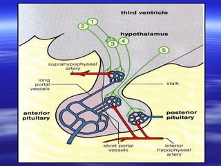 Patho Endocrine | PPT