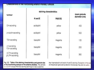 Patho Endocrine | PPT