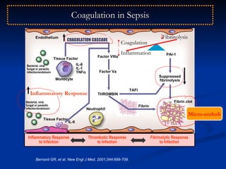 Patho Physiology And Icu Management Of Septic Shock | PPT