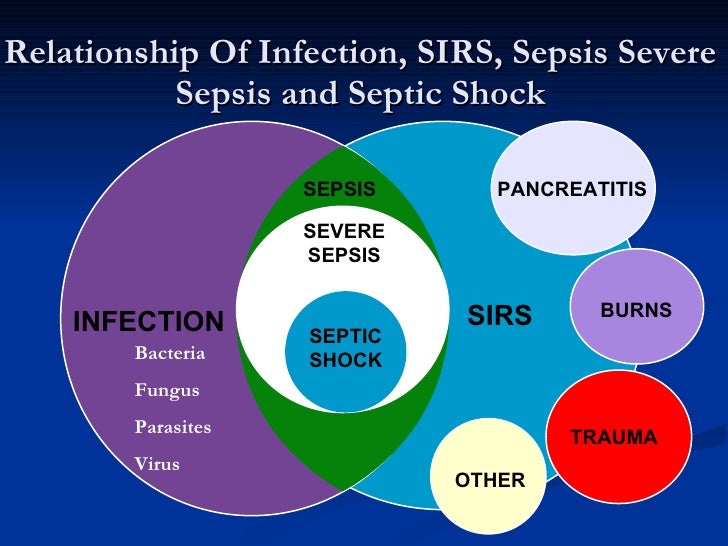 Patho Physiology And Icu Management Of Septic Shock