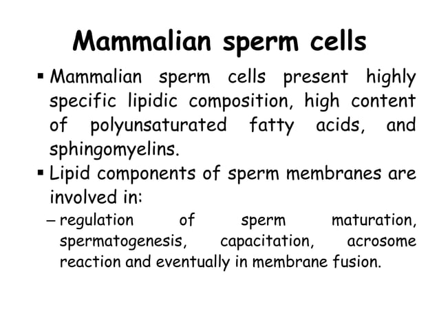 Physiology of Male Infertility | Seeds of Innocence | PPT