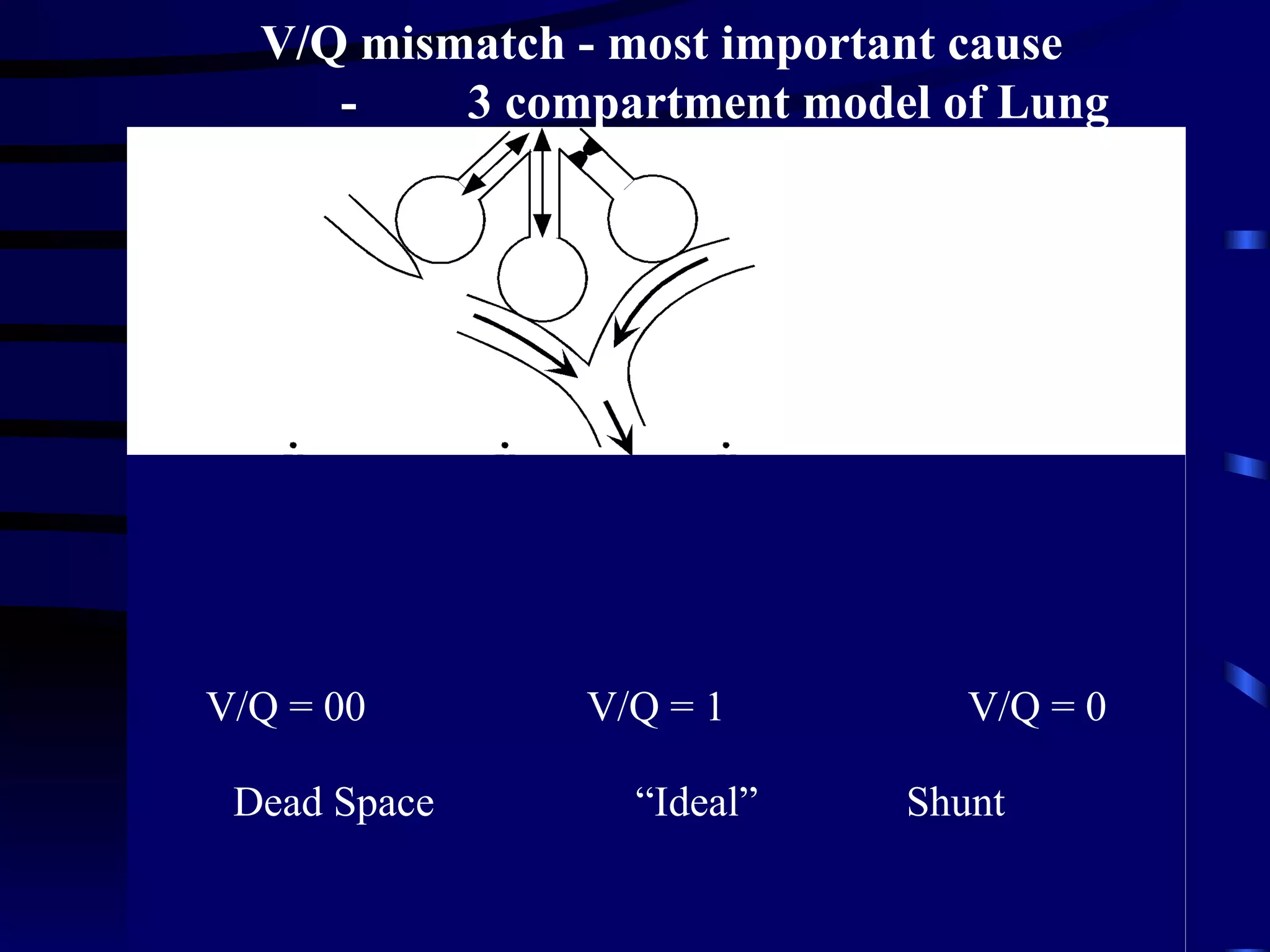Patho Physiology Of Respiratory Failure | PPT