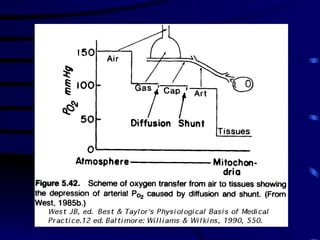 Patho Physiology Of Respiratory Failure | PPT