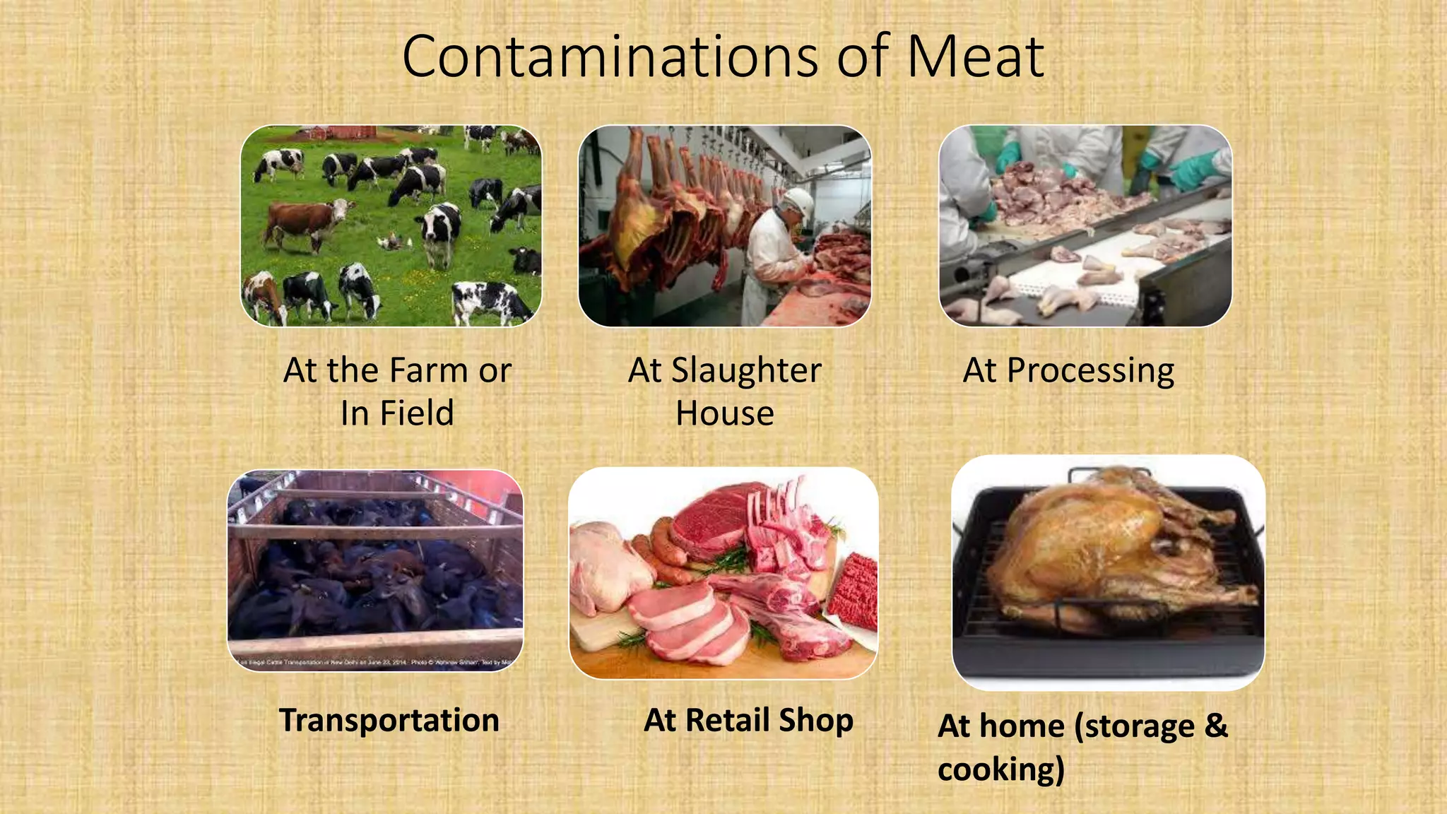Meat Borne Diseases | PPTX