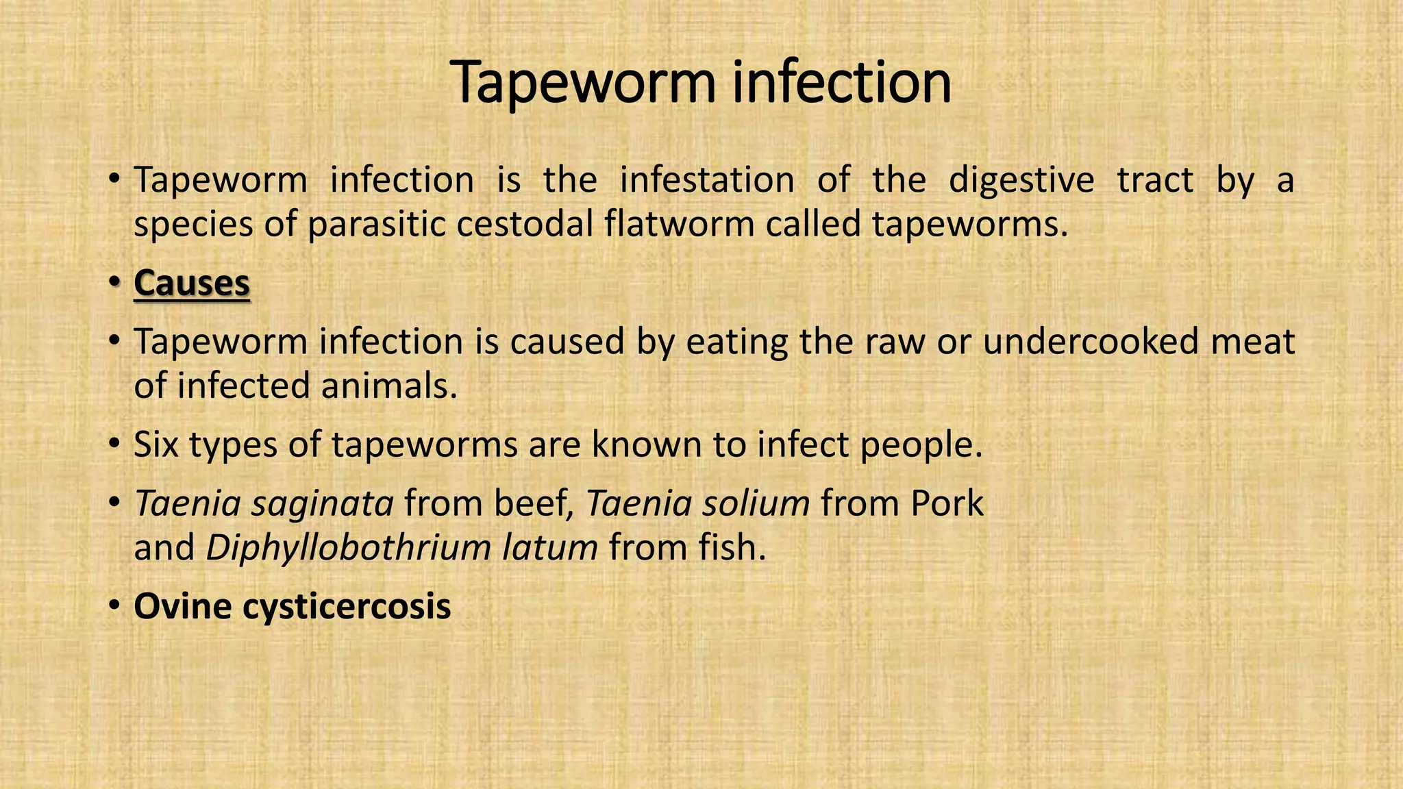 Meat Borne Diseases | PPTX