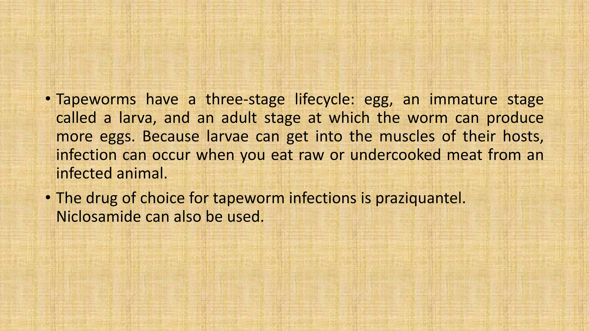 Meat Borne Diseases | PPTX