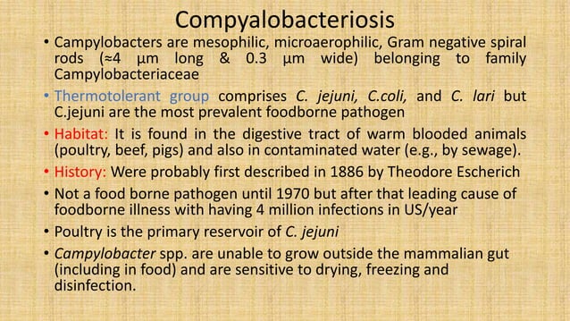 Meat Borne Diseases | PPTX