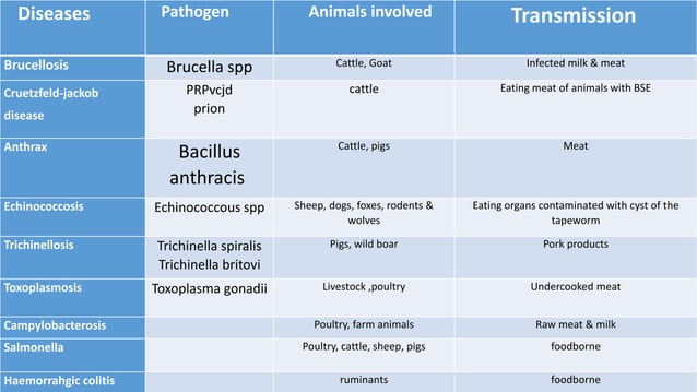 Meat Borne Diseases | PPTX
