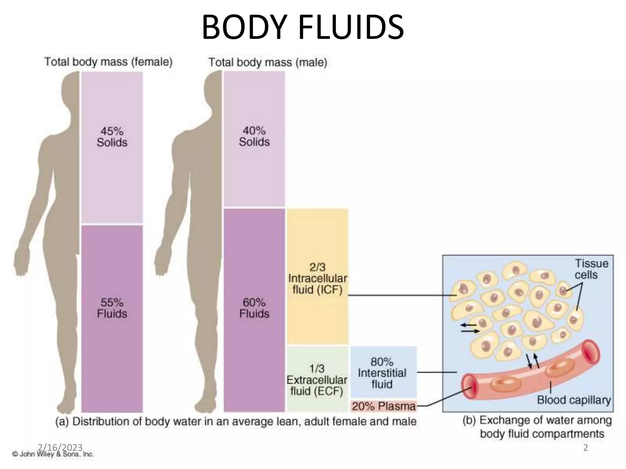 patho 4.pptx | Free Download