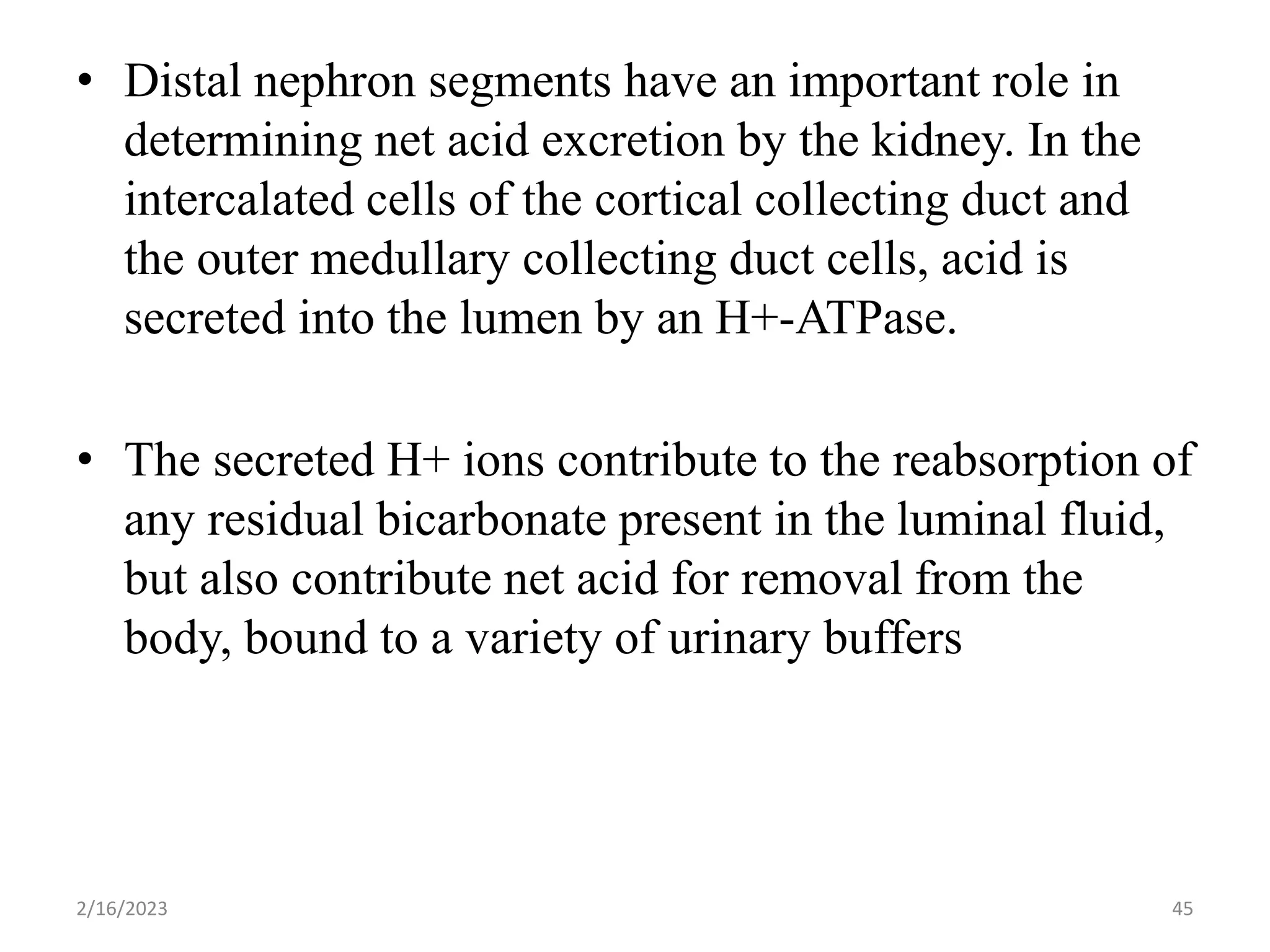 patho 4.pptx | Free Download