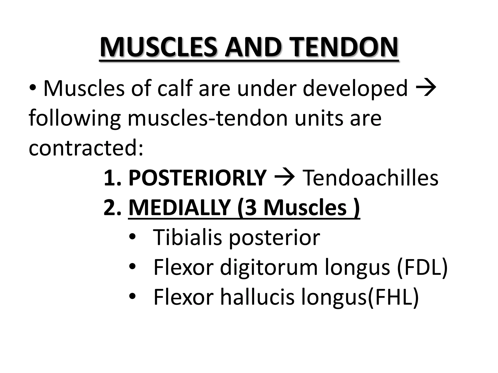 Pathoanatomy Of CTEV | PPTX