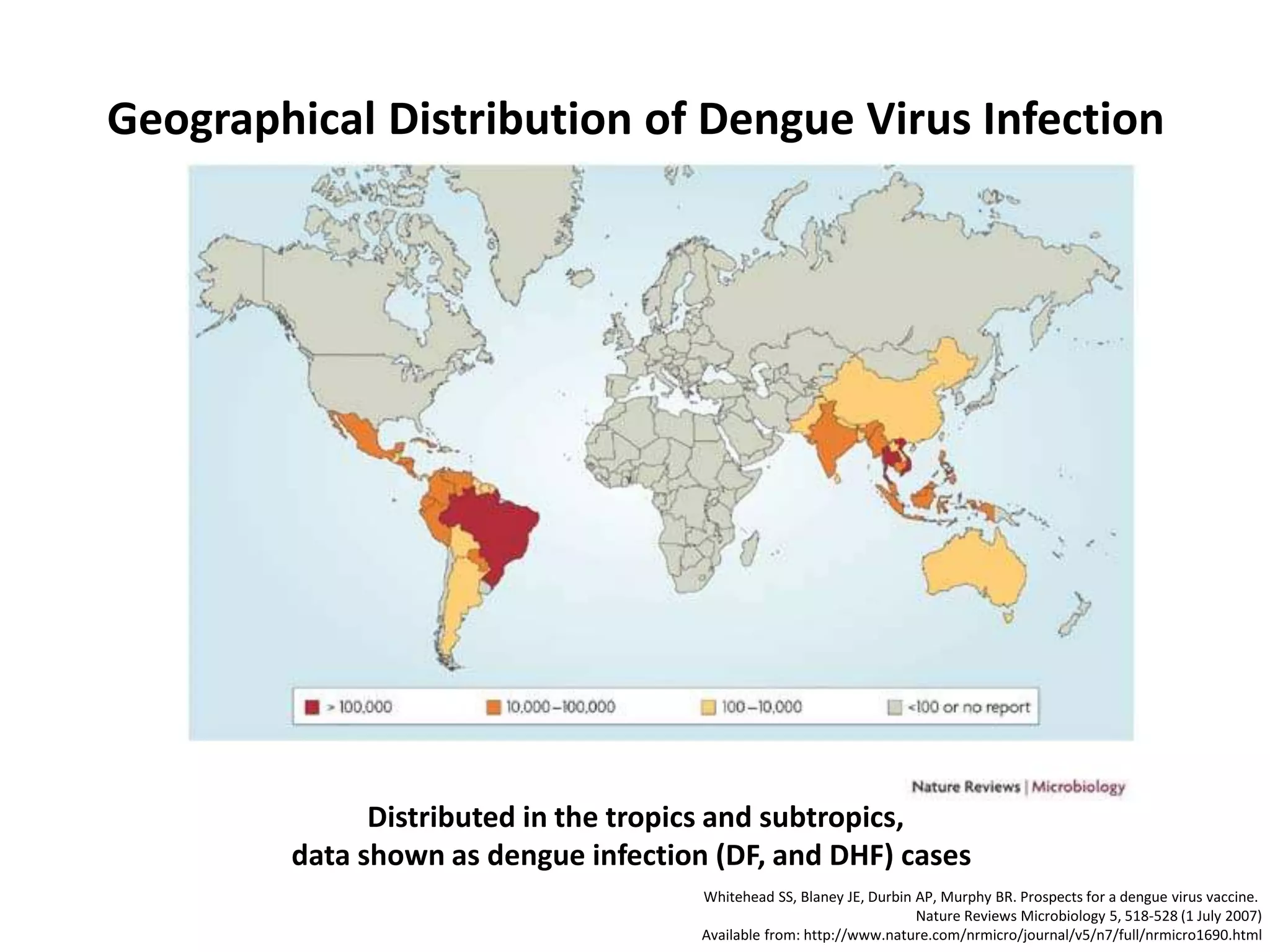 Pathobiology of dengue virus infection | PPT
