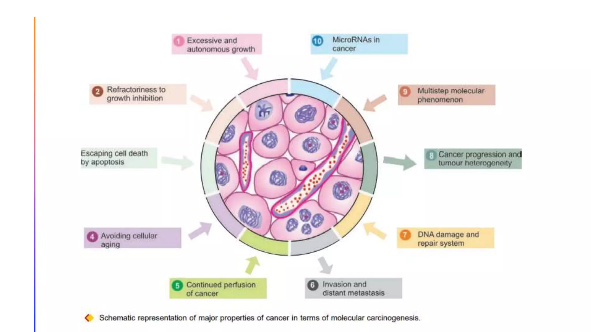 Pathogenesis of cancer | PPTX